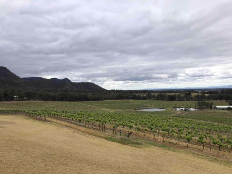 From Haymarket: Hunter Valley Wine and Wildlife Day Trip - Final Thoughts