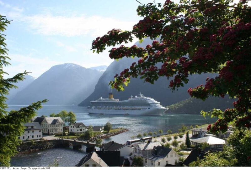 From Hellesylt: The Best of Geiranger Shore Excursion - Who Will Love This Tour?