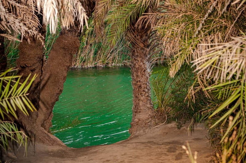 From Herakleion: Day Trip to Preveli Palm River Beach - The Value of This Tour