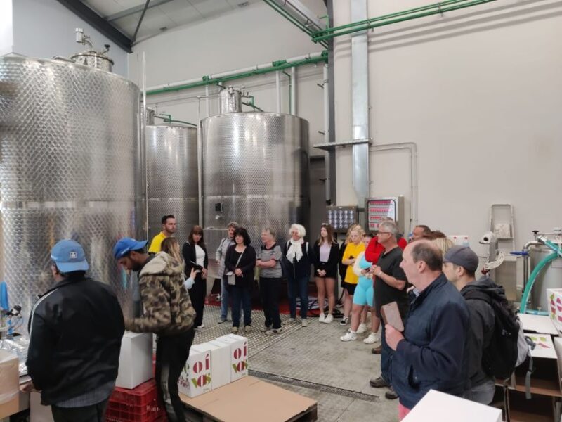 From Heraklion: Matala Beach - Caves & winery Full Day tour - Summary