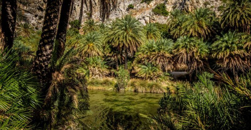 From Heraklion: Preveli Tropical Beach & Palm Forest Hike - Who Is This Tour Best For?