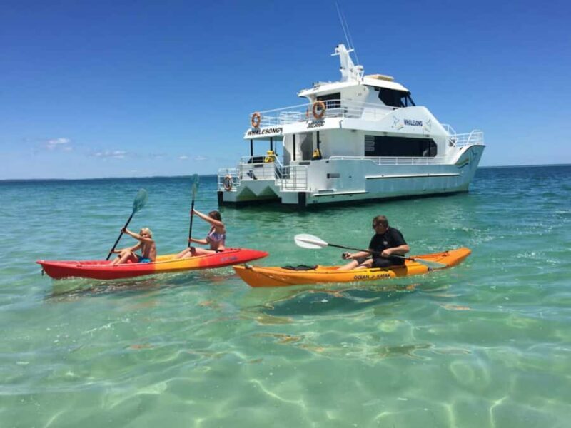 From Hervey Bay: Half-Day K'gari Fraser Island Beach Cruise - The Authentic Experience for Different Travelers