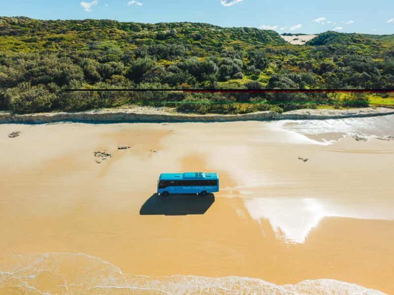 From Hervey Bay: K'gari, Fraser Island Full-Day Coach Tour - The Sum Up: Who Is This Tour Perfect For?