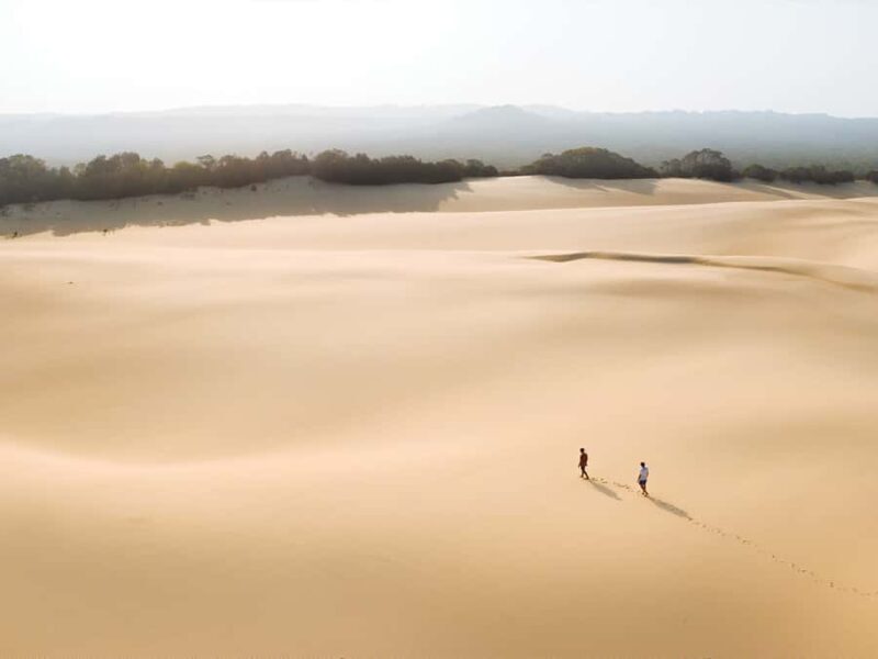 From Hervey Bay: K'gari, Fraser Island Two-Day Coach Tour - The Sum Up