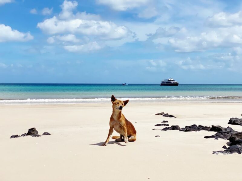 From Hervey Bay: Remote K'gari Tour by Boat with Lunch - FAQs