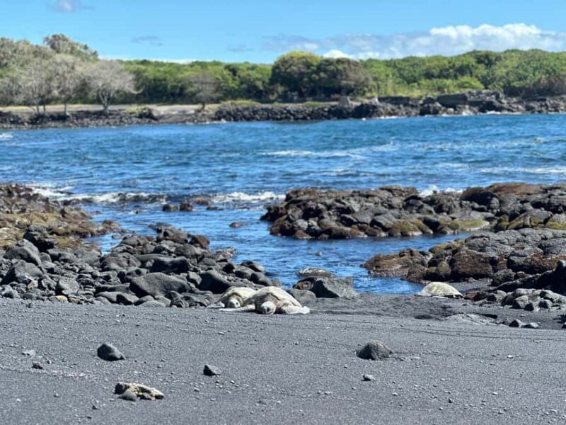 From Hilo: Guided Excursion with Volcanoes National Park - FAQ