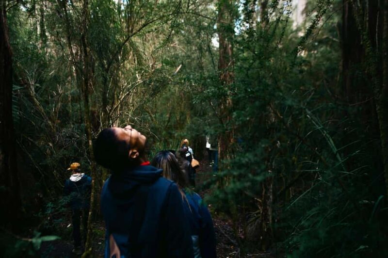 From Hobart: Full-Day Bruny Island Tour with Guide - Exploring the Bruny Island Experience