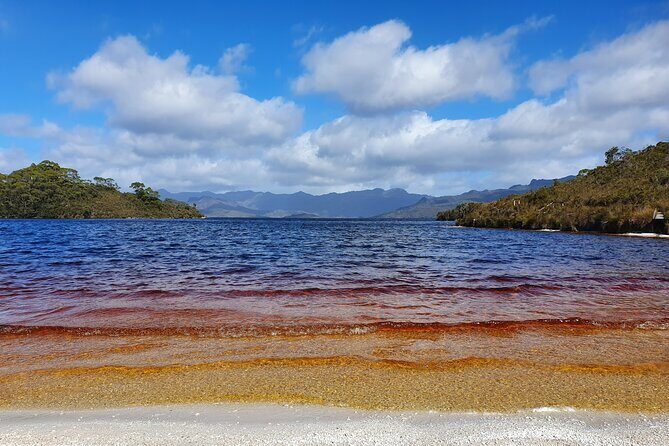 From Hobart: Gordon Dam and Lake Pedder Wilderness Day Tour - An In-Depth Look at the Tour Experience