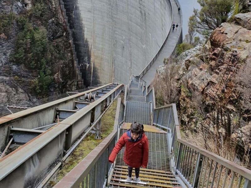 From Hobart: Gordon Dam and Lake Pedder Wilderness Day Tour - Key Points