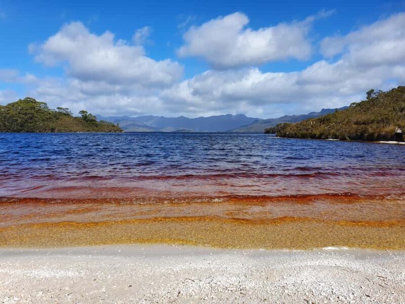 From Hobart: Gordon Dam and Lake Pedder Wilderness Day Tour - Who Will Love This Tour?
