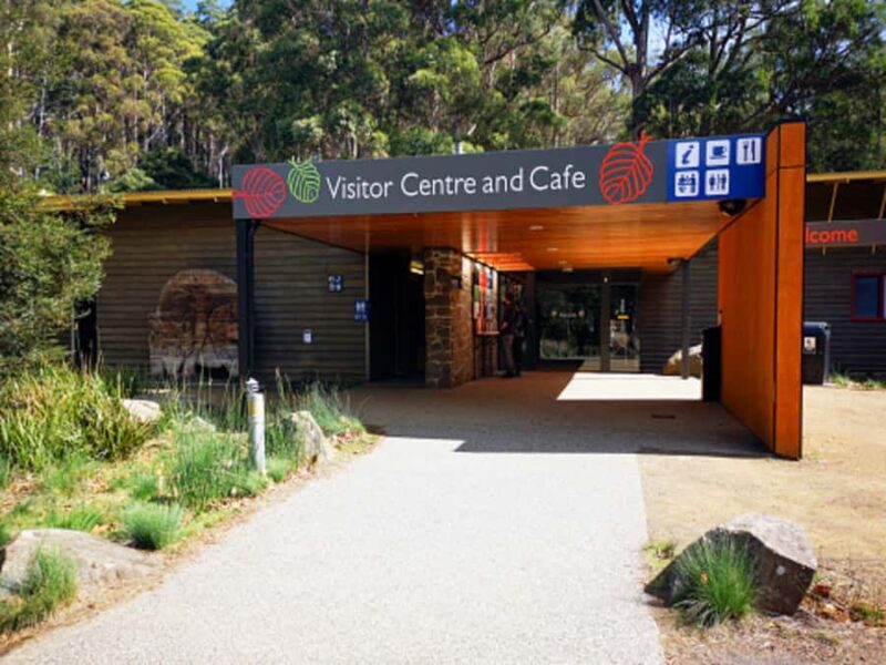 From Hobart: Mt. Field National Park and Russell Falls - A Closer Look at the Itinerary and Experiences