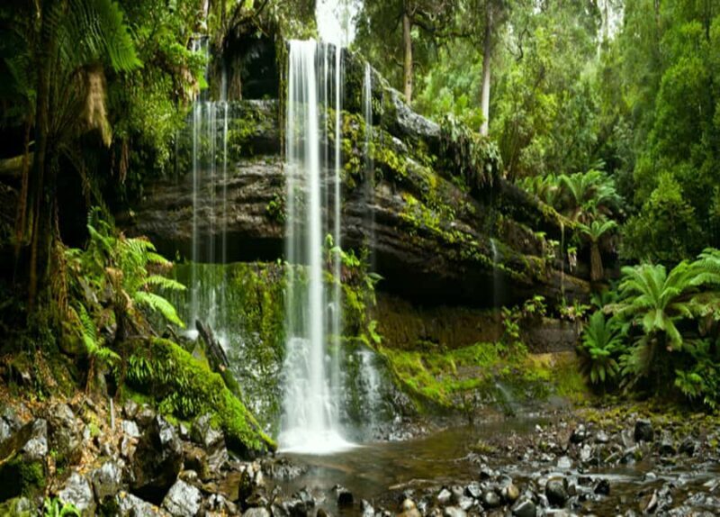 From Hobart: Mt. Field National Park and Russell Falls - The Sum Up
