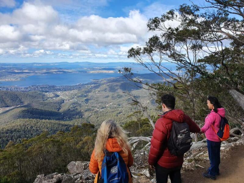 From Hobart: Mt Wellington Morning Walking Tour - An In-Depth Look at the Tour
