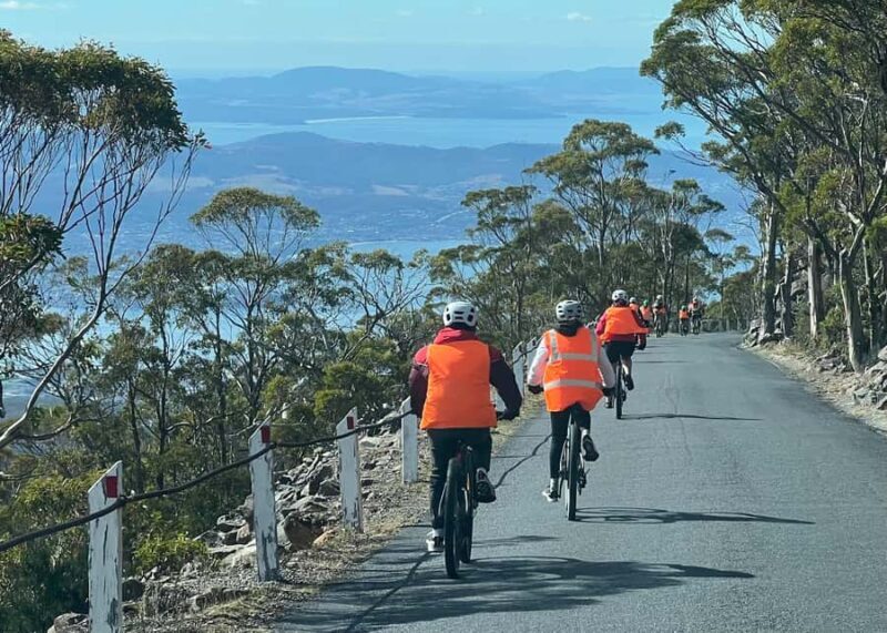 From Hobart: Mt Wellington Summit & Rainforest Bike Tour - An In-Depth Look at the Experience