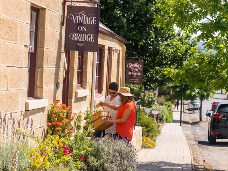 From Hobart: Richmond Village 4 hour Return Tour (Afternoon) - The Experience Providers and Overall Value