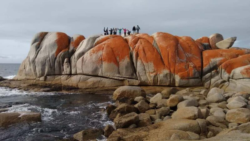 From Hobart: The Ultimate 10-Day Tour of Tasmania's Regions - An In-Depth Look at the 10-Day Tasmania Tour