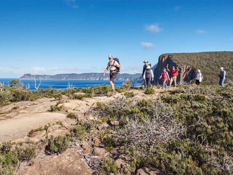 From Hobart: Three Capes Walking Tour - 4 Days - What Makes This Tour Special?