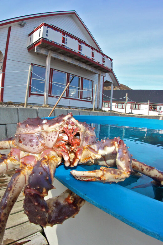 From Honningsvåg: VIP North Cape and Kingcrab Tour - Transport & Group Size