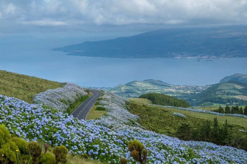 From Horta: Guided Faial Island Tour - A Closer Look at the Tour Itinerary