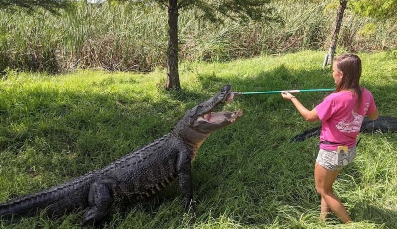 From Houston: Crocodile Encounter Entry Ticket - Why This Experience Is a Good Choice