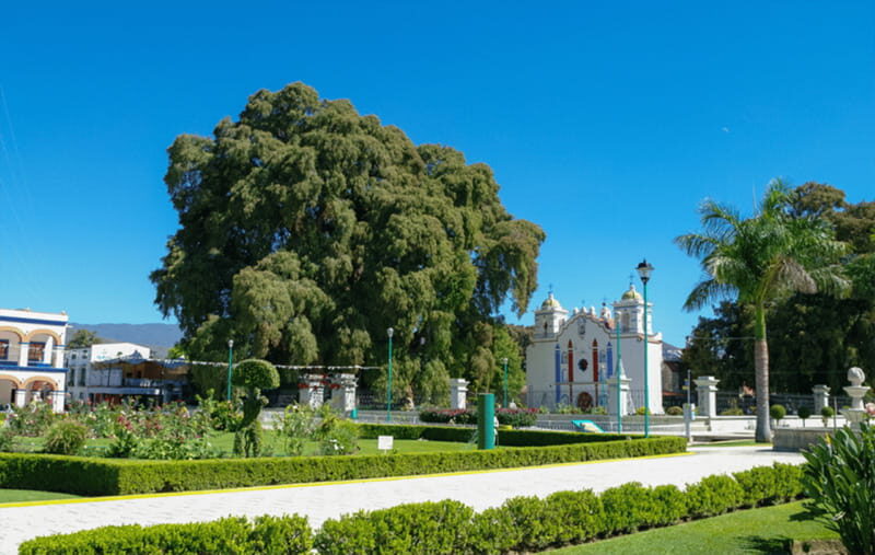 From Huatulco: 2 Days Excursion to Oaxaca City - Introduction