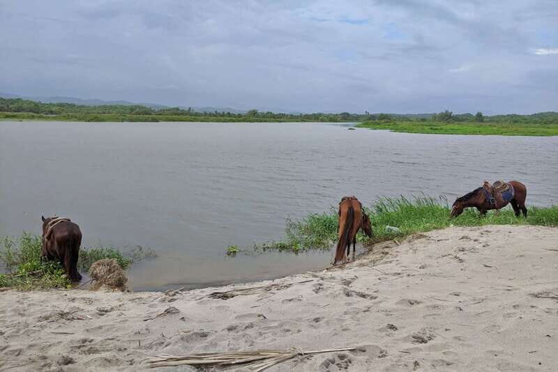 From Huatulco: Beach Horseback Riding Experience - FAQ