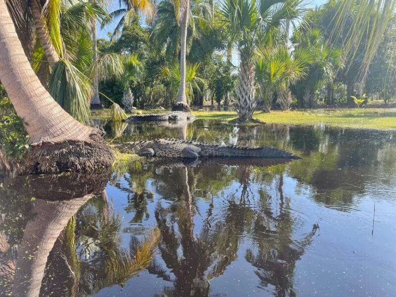 From Huatulco: Crocodile and Turtle Eco-Tour - From Huatulco: Crocodile and Turtle Eco-Tour — A Detailed Review