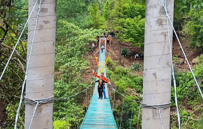 From Huatulco: San Jose del Pacifico Tour - Key Points