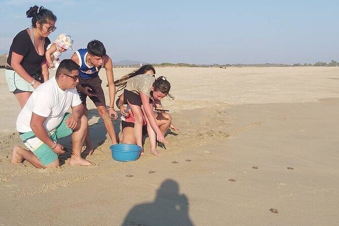 From Huatulco: Turtle Release & Bioluminescence - Considerations for Booking