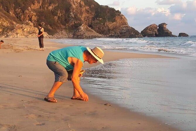 From Huatulco: Turtle Release & Bioluminescence - Who Will Love This Tour?