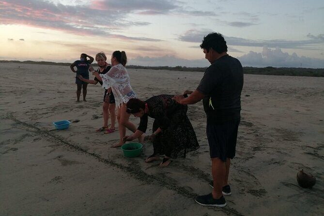 From Huatulco: Turtle Release & Bioluminescence - The Sum Up