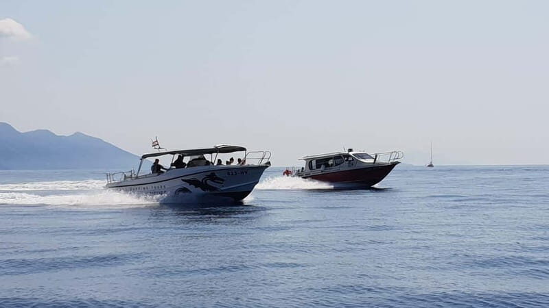 From Hvar: Unforgetable Tour to the Island Vis and Blue Cave - Practical Tips for Travelers