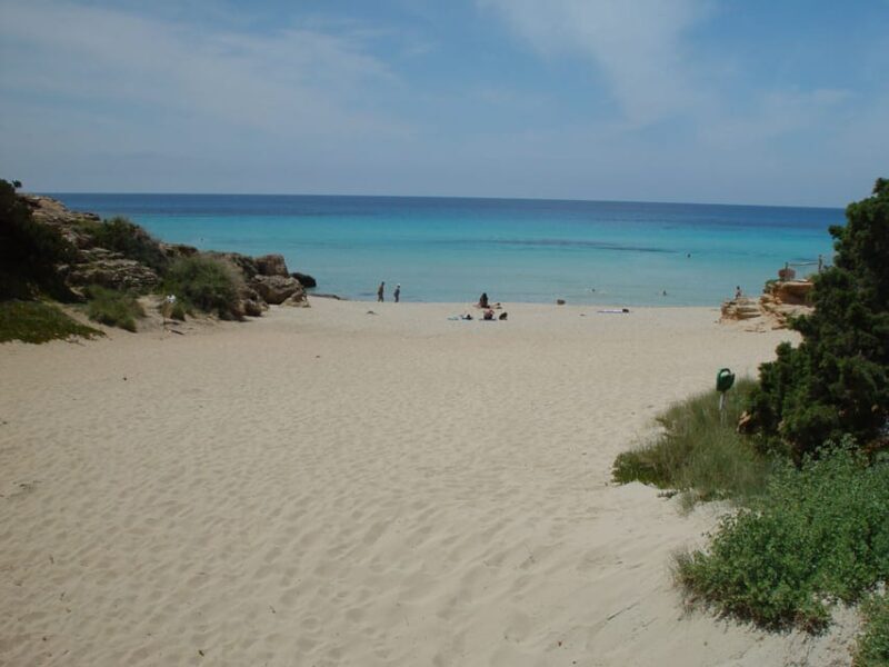 From Ibiza: Ferry and Guided Bus Excursion in Formentera - First Stops: San Francisco Javier and Mirador