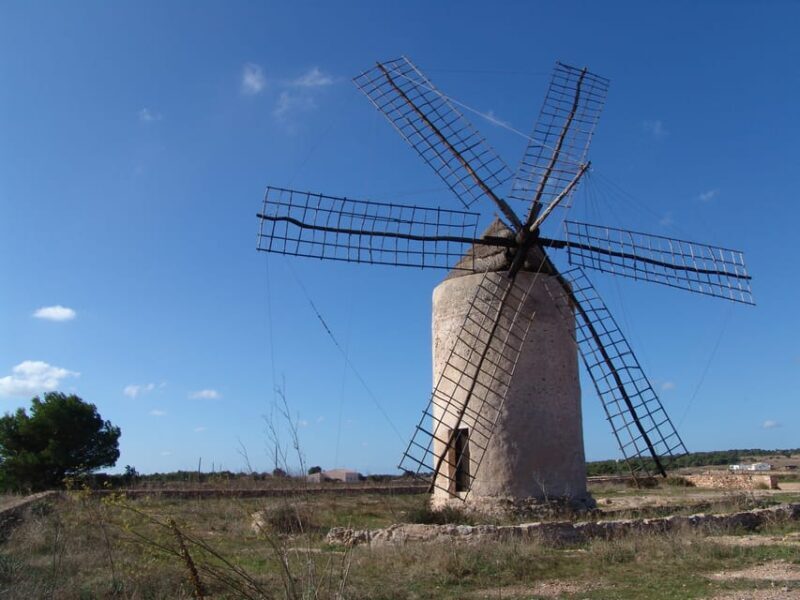 From Ibiza: Ferry and Guided Bus Excursion in Formentera - Return Journey