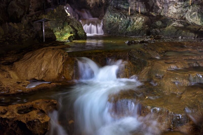 From Interlaken: Beatus Caves, Blue Lake and Lake Thun Tour - Discovering Blue Lake at Blausee Nature Park
