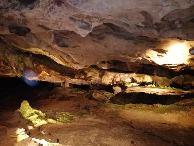 From Interlaken: Beatus Caves, Blue Lake and Lake Thun Tour - Transportation & Logistics