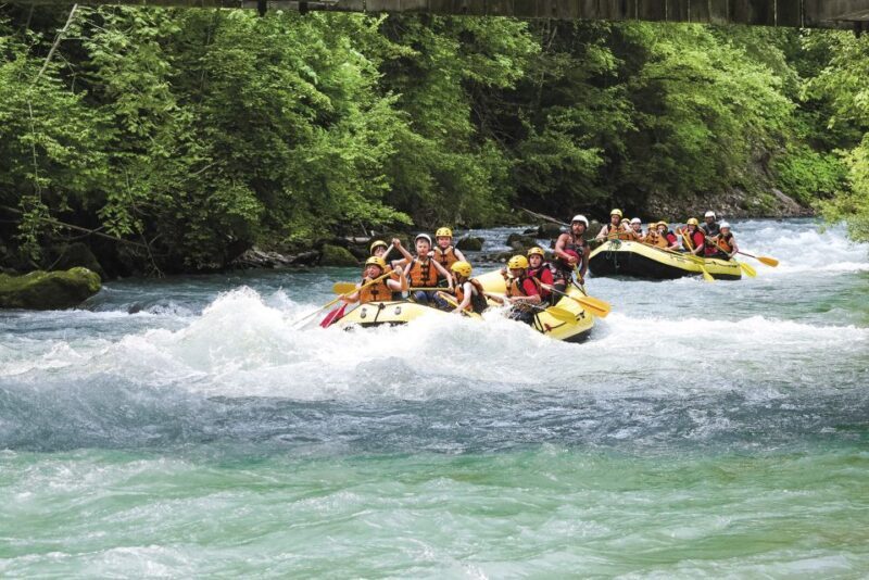 From Interlaken: River Rafting Adventure on Simme River - Who Is This Tour Best For?