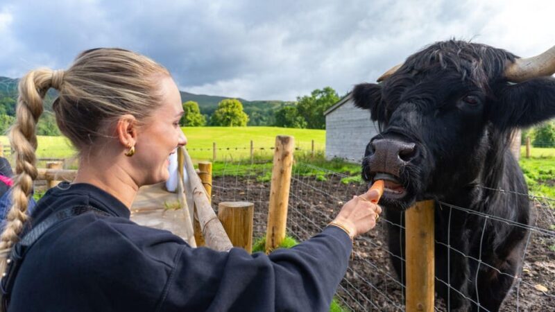 From Inverness: Cawdor Castle, Clava Cairns & The Cairngorms - Discover the Charm of the Scottish Highlands: A Review of the Inverness Day Trip