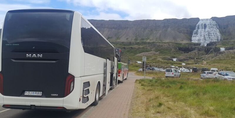 From Isafjordur: Dynjandi Waterfall Guided Day Trip by Bus - An In-Depth Review of the Westfjords Waterfall Adventure