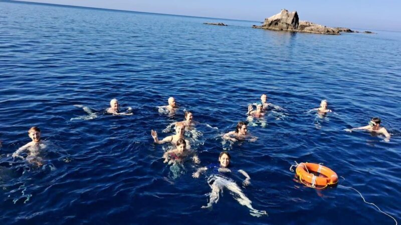 From Ischia: Procida Island Full-Day Boat Tour with Lunch - Key Points