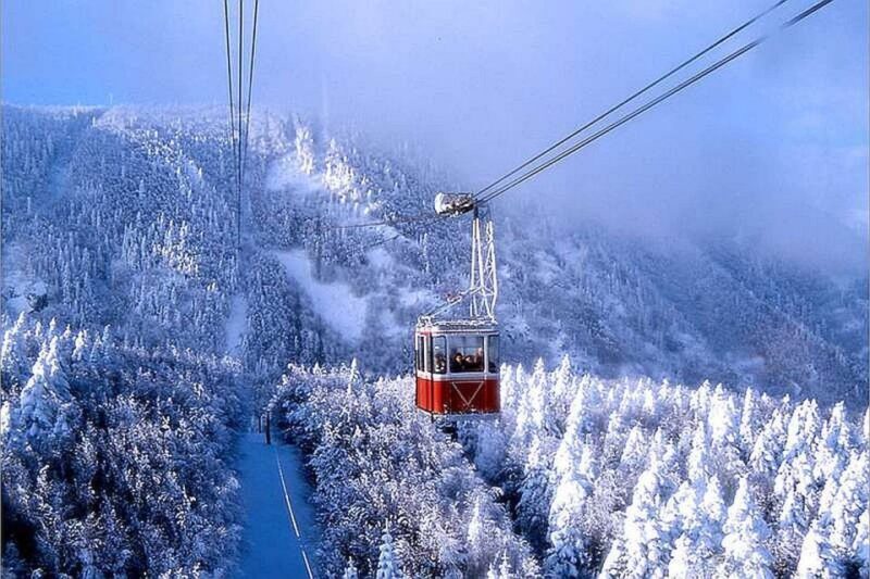 From Istanbul: Full-Day Tour to Bursa - Key Points