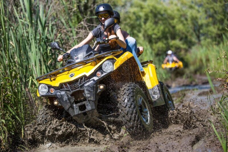 From Istanbul: Guided Day Trip to Sapanca and Masukiye - An In-Depth Look: What to Expect from the Tour