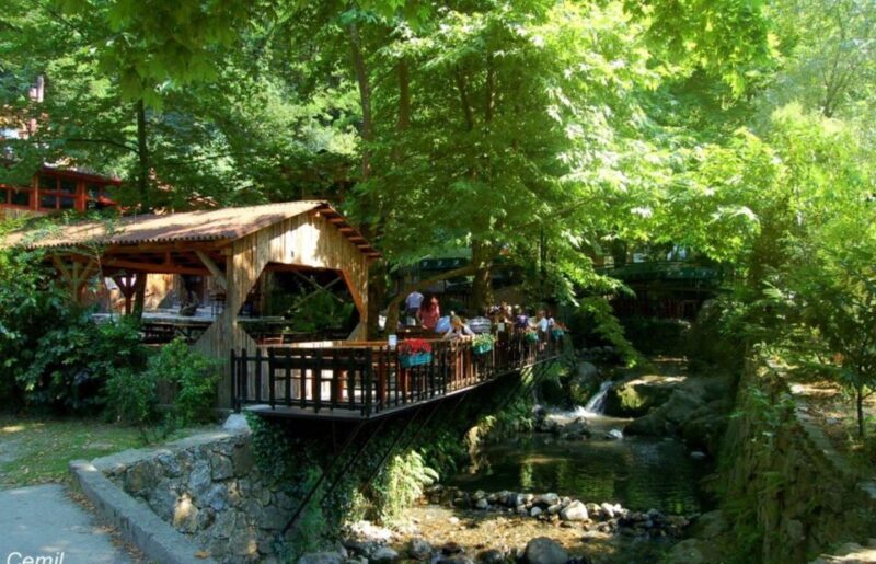 From Istanbul: Guided Day Trip to Sapanca and Masukiye - Practical Details: Transport, Guide, and Cost