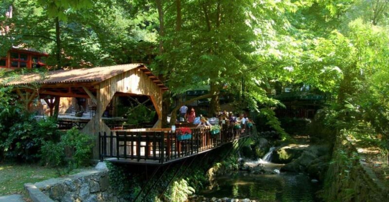 From Istanbul: Guided Day Trip to Sapanca and Masukiye - Final Thoughts: Is This Tour Right for You?