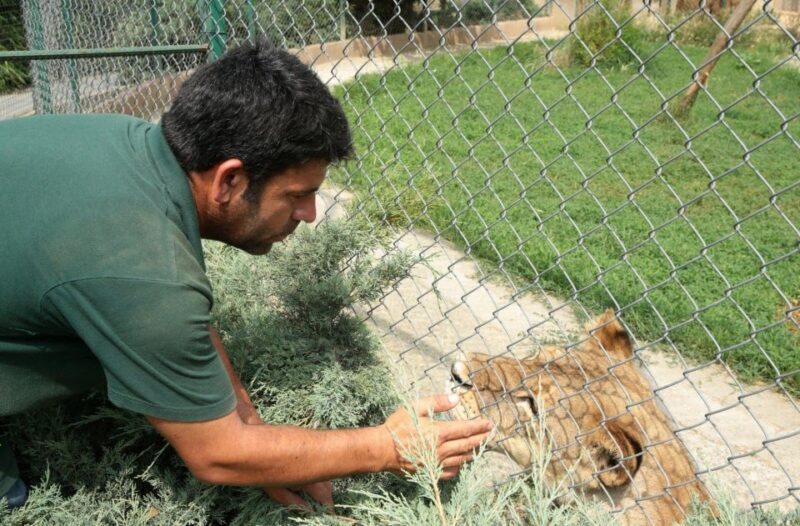 From Istanbul: Guided Day Trip to Sapanca and Masukiye - FAQ