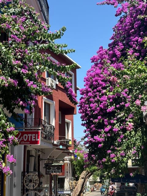 From Istanbul: Princess Islands Guided Tour - Frequently Asked Questions