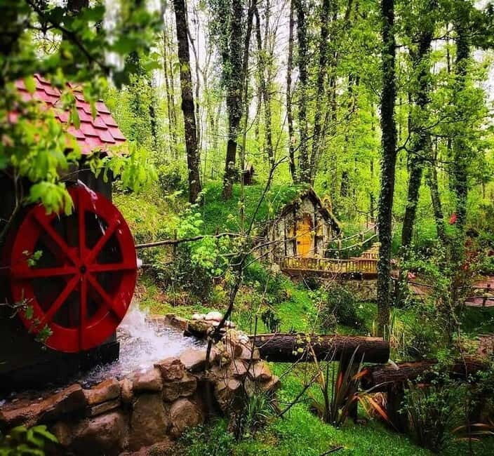 From Istanbul: Sapanca & Masukiye Tour with Lunch - Final thoughts