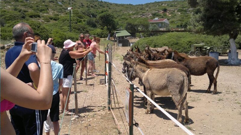 From Izmir: Full Day Boat Trip around Cesme with BBQ Lunch - What to Expect on the Cesme Boat Trip