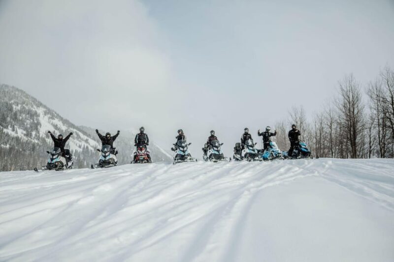 From Jackson: Yellowstone Grand Canyon Snowmobile Tour - Who Will Enjoy This Tour?
