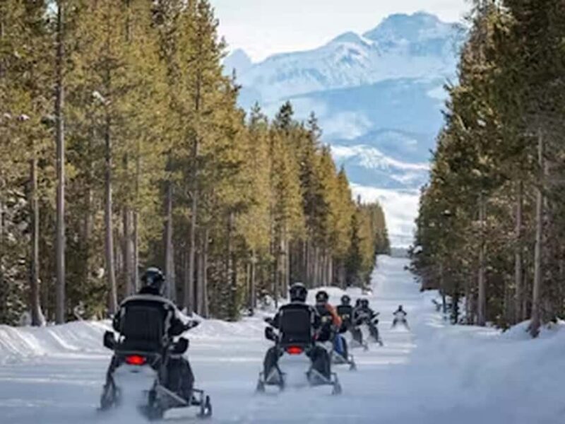 From Jackson: Yellowstone Grand Canyon Snowmobile Tour - FAQs